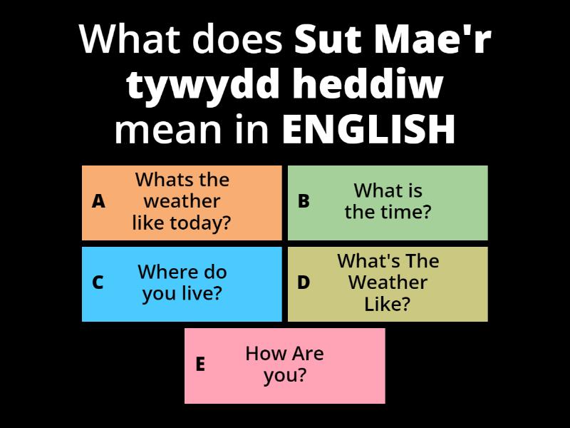 Welsh Game - Ant - Quiz