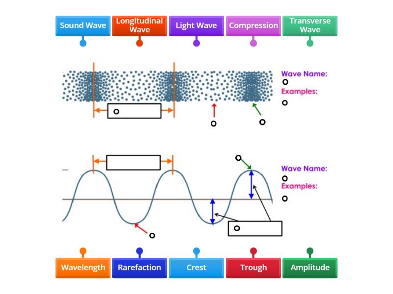 Transverse & Longitudinal Waves - Labelled diagram