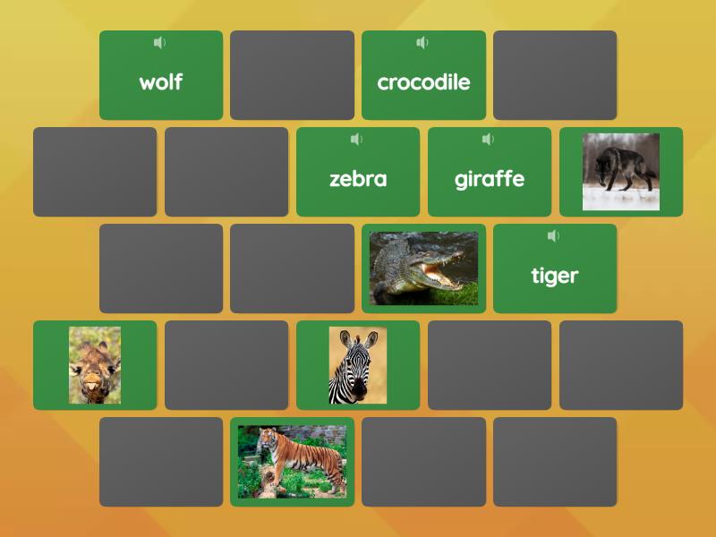 Wild animals - Matching pairs