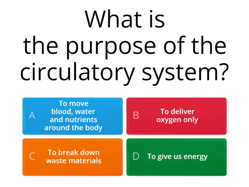Circulatory System Y6 - Quiz