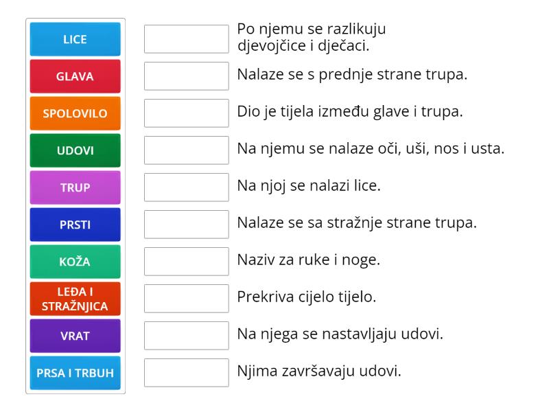Dijelovi tijela 2 - Match up