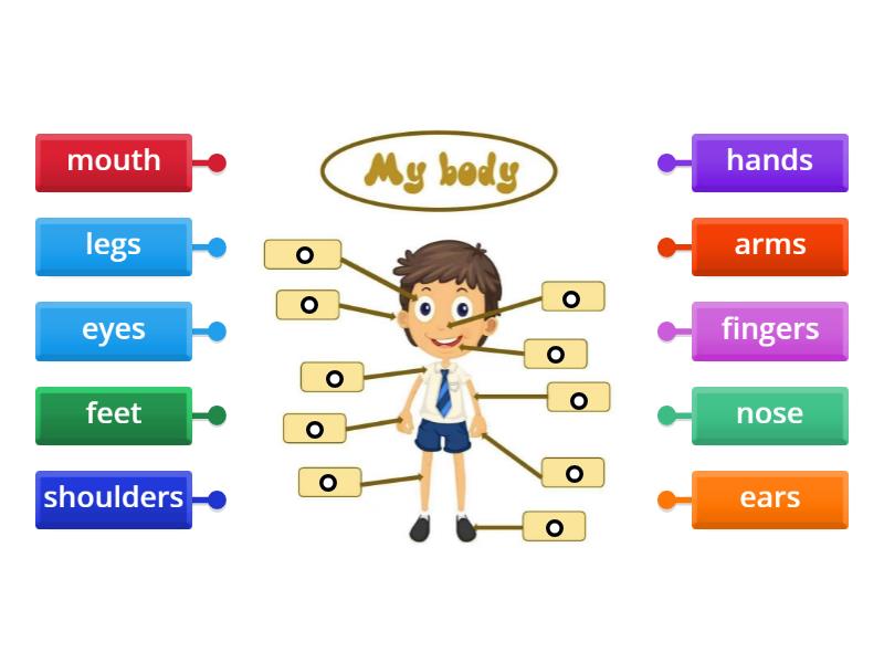 My Body - Labelled diagram