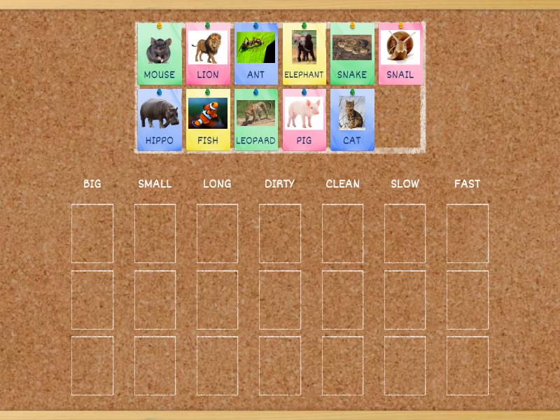 CLASSIFY THE ANIMALS - Group sort