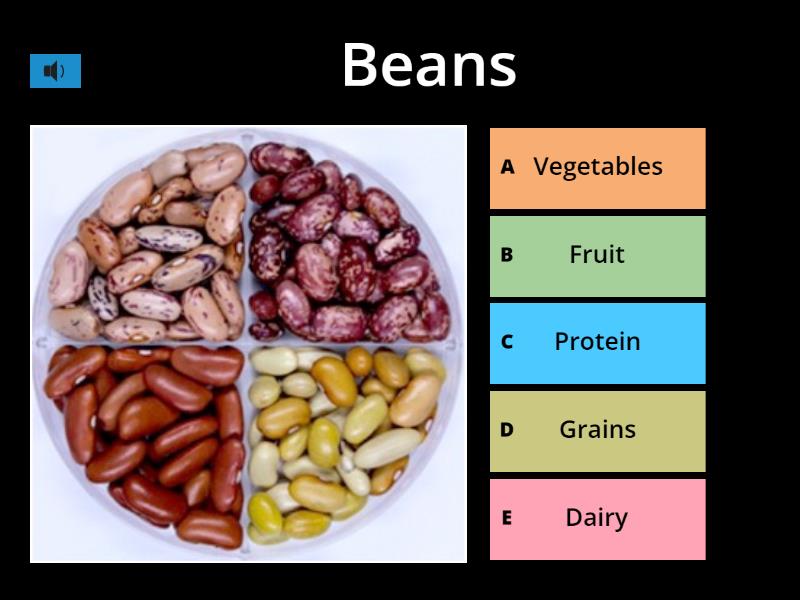 FOOD GROUPS - Quiz