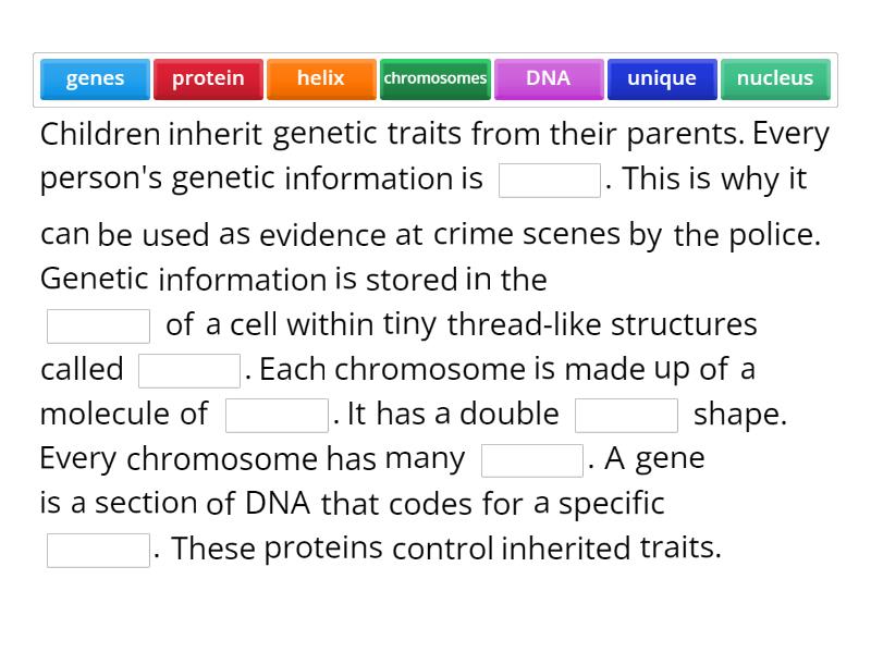 DNA, Genes and Chromosomes - Complete the sentence