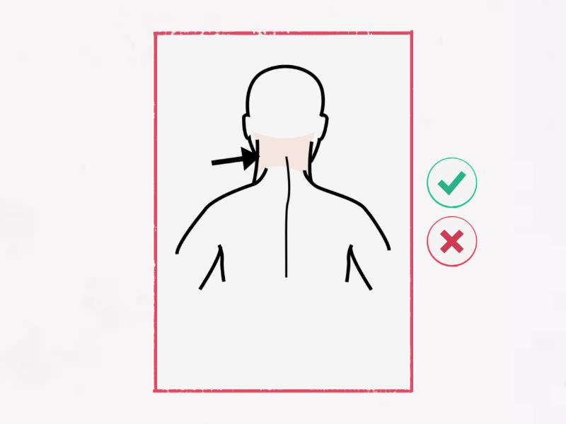 Ruumiinosat - Flash cards