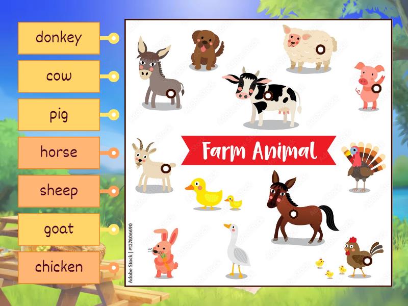 farm animals - Labelled diagram