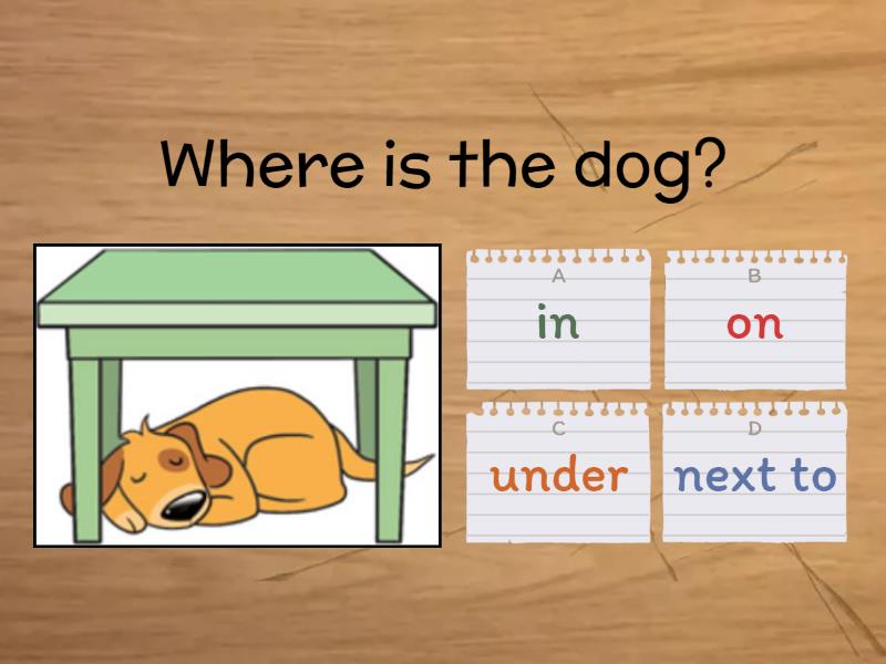 Prepositions - in on under next to behind in front of - Quiz