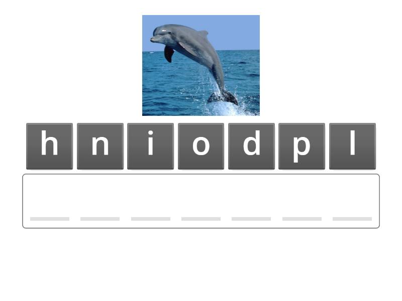 Unit 9: Let's explore the city! - Anagrama