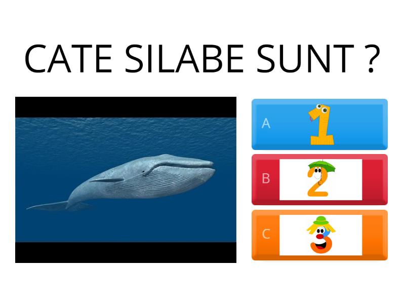 CUVINTE / SILABE - Quiz