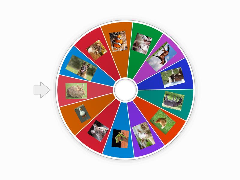 What animal is it? - Spin the wheel