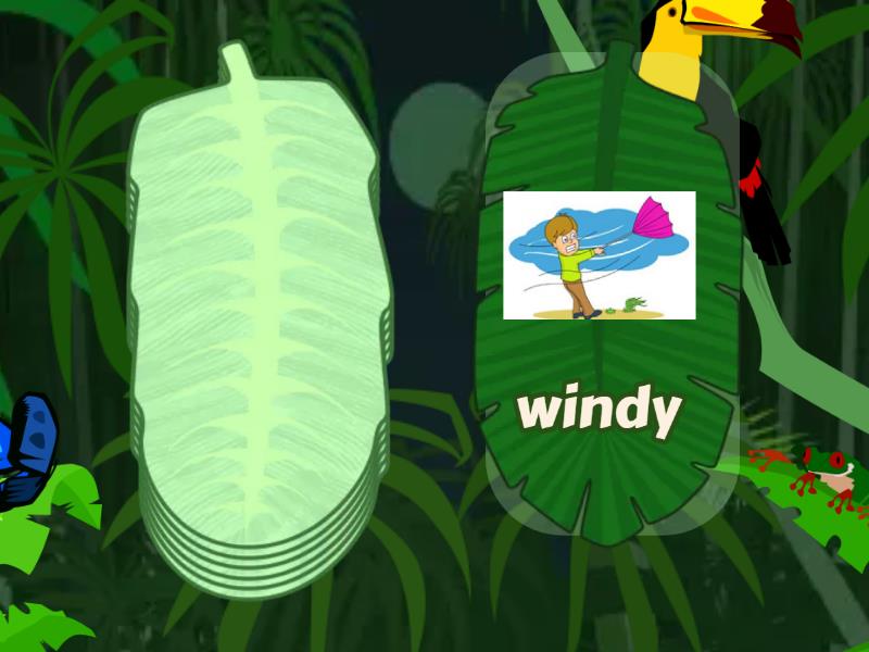 weather - Random cards