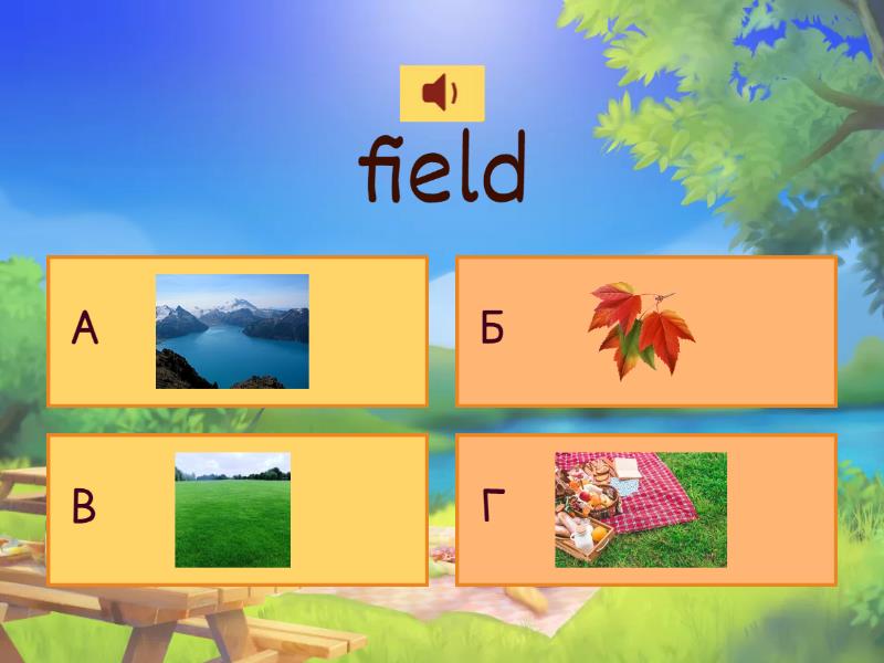 Countryside - Quiz