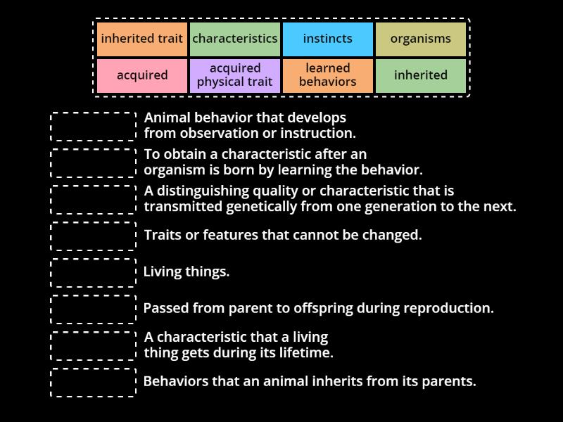Genetics Vocabulary Review - Match up