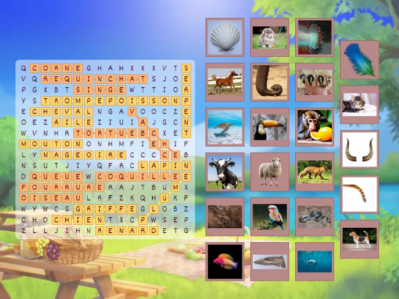 Les animaux - Wordsearch
