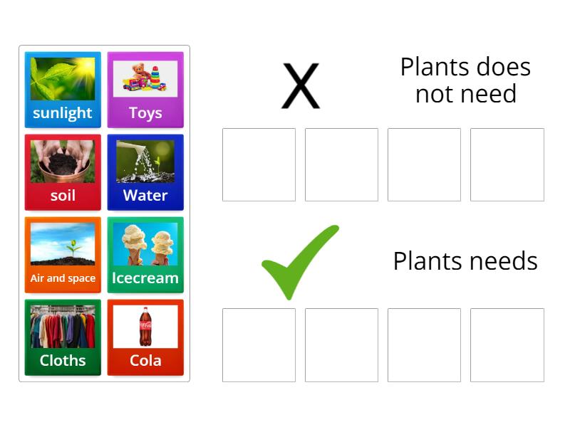 Plants needs - Group sort