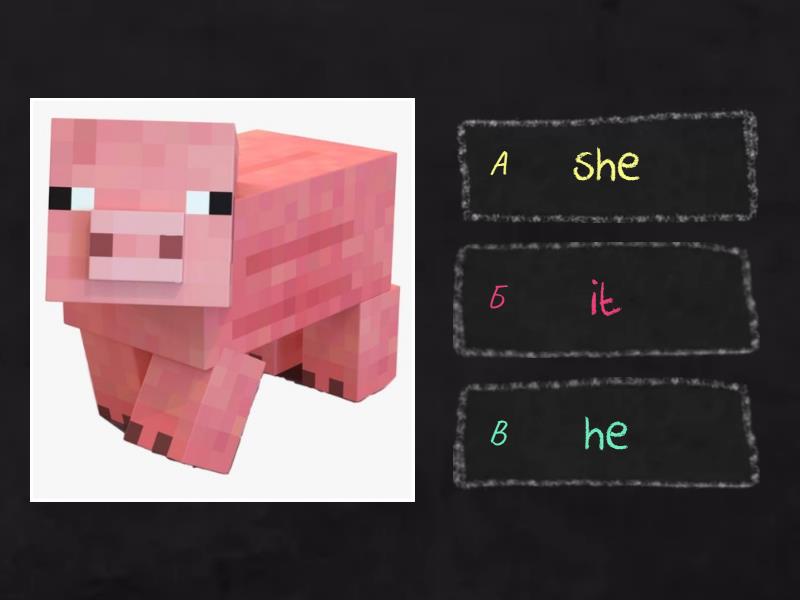minecraft pronouns - Quiz