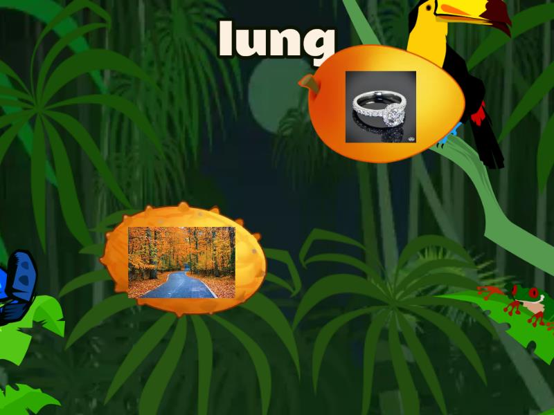 Barton 3.08 NG NK Units - Flying fruit