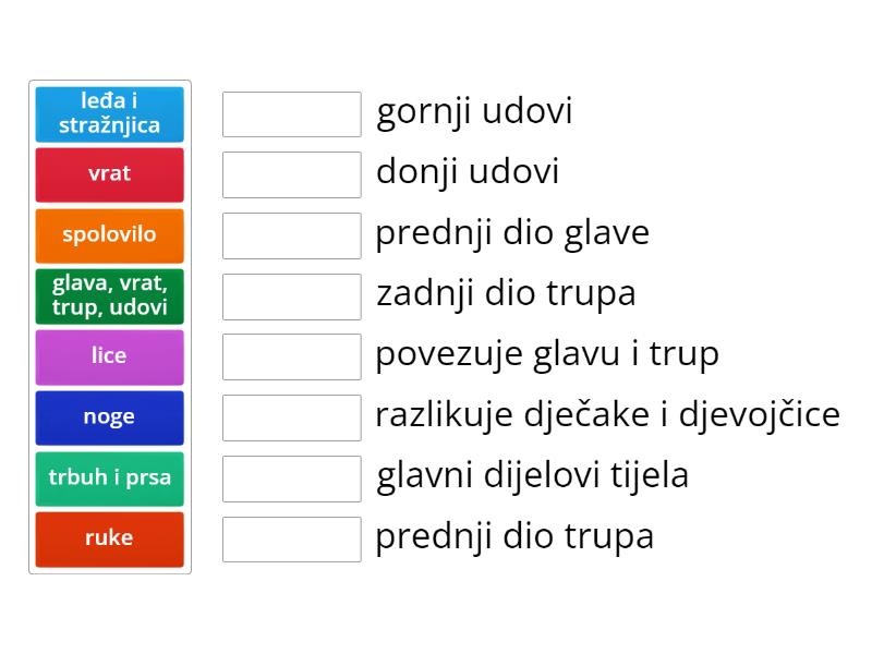 DIJELOVI TIJELA - Match up