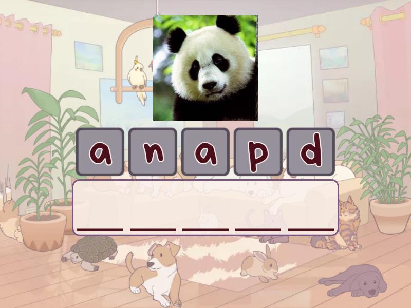 Movers fun u 2 animals - Anagram