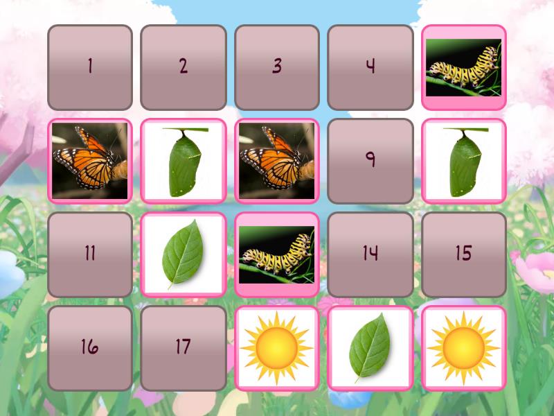 The Very Hungry Caterpillar - Matching pairs