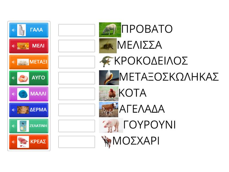 ΖΩΑ ΚΑΙ ΤΙ ΠΑΡΑΓΟΥΝ - Match up