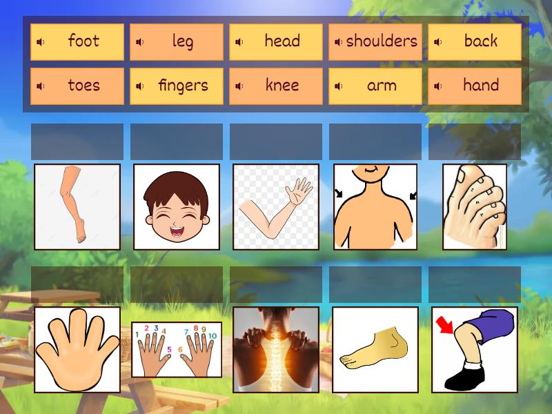SM 1 unit 8 body - Match up