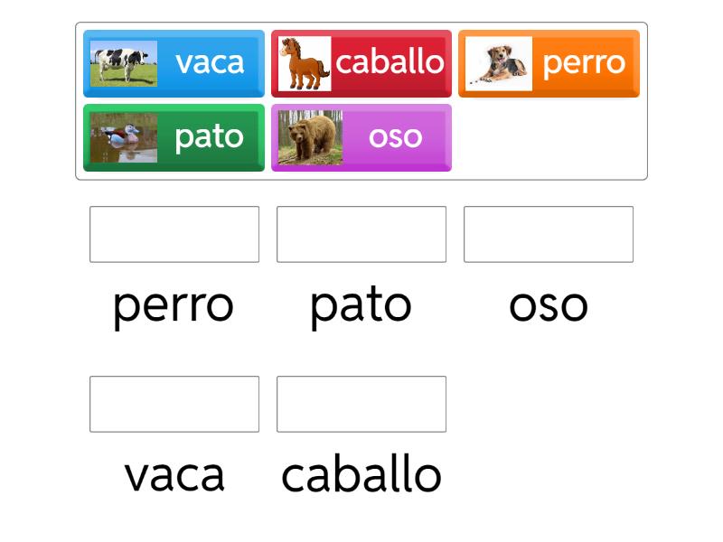 uno las parejas - Une las parejas