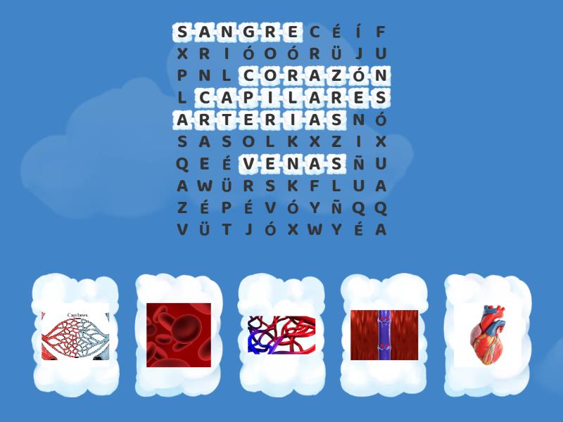 Sistema circulatorio - Sopa de letras