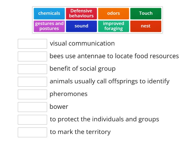social behavior - Match up