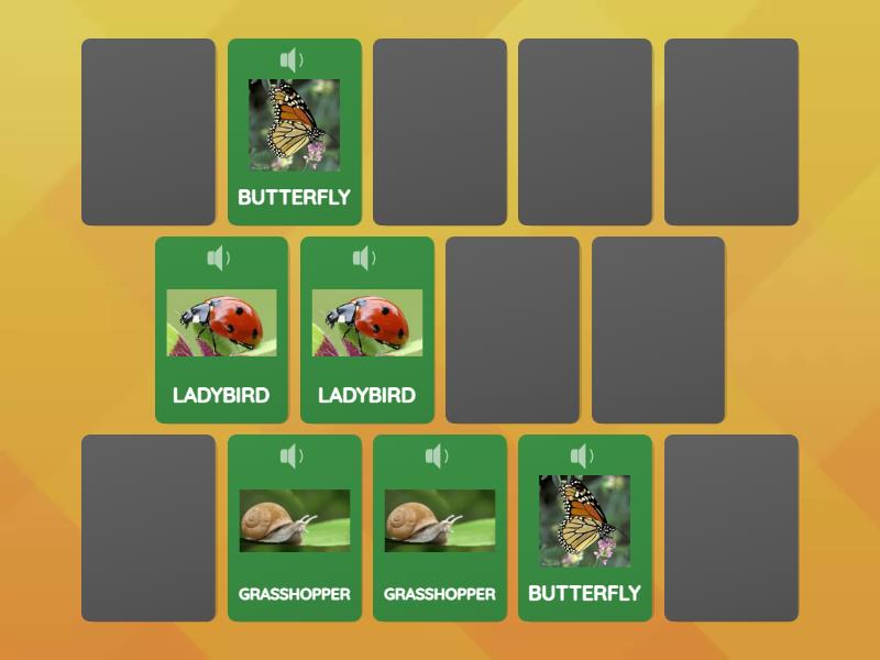 BUGS IN 2 - Matching pairs