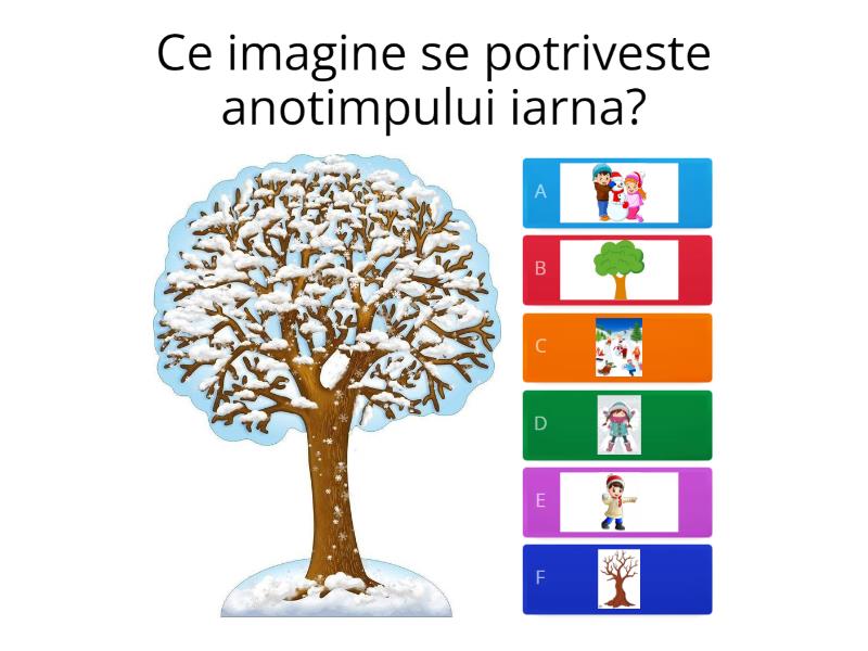 Anotimpurile - Quiz