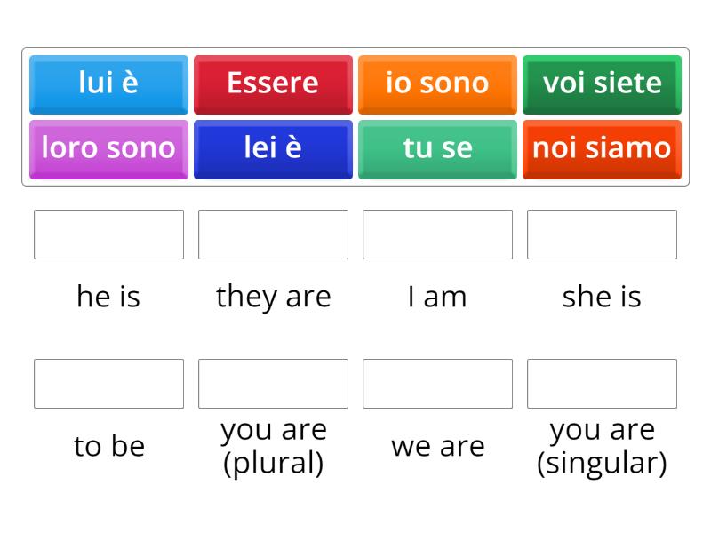 Verb Essere - to be - Match up