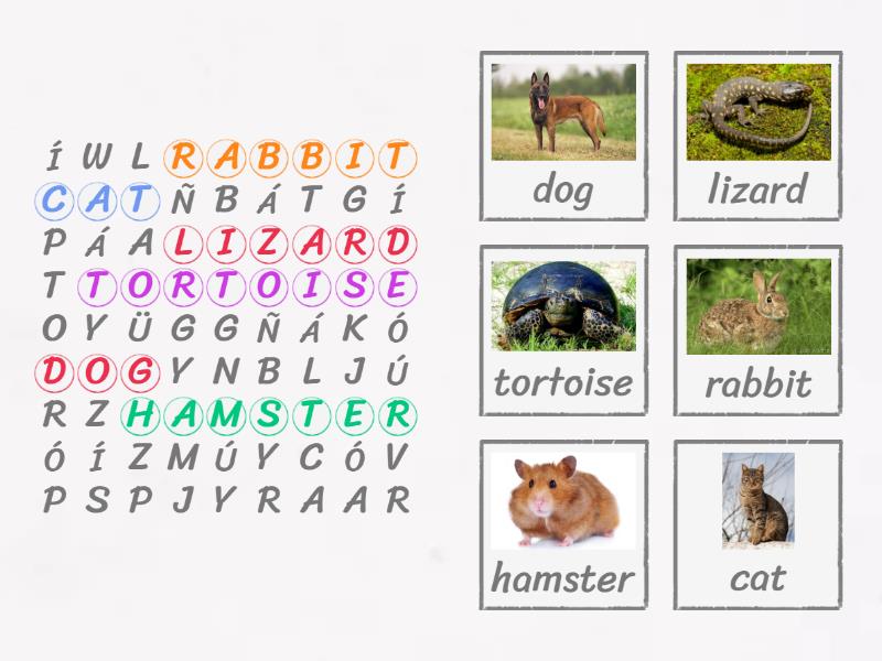 My favorite pet - Wordsearch