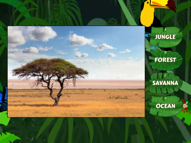 ANIMALS HABITAT - Quiz