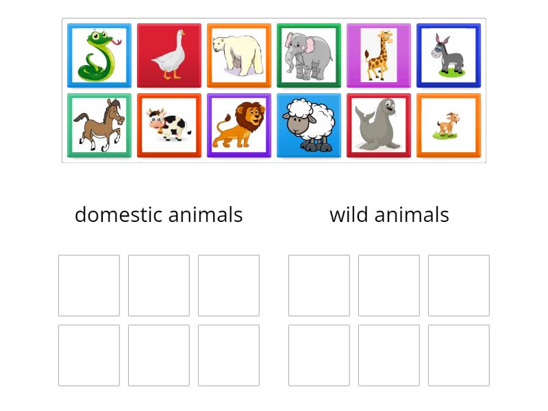 domestic-wild animals - Group sort