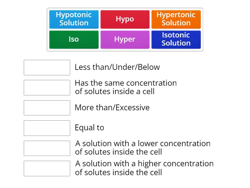 Iso Hyper Hypo - Match up