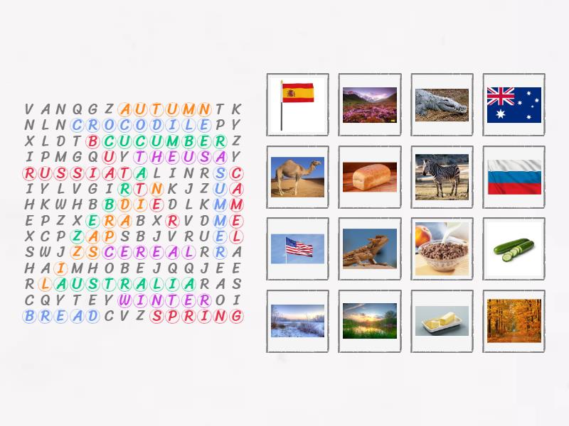 FF4 Starter WB - Wordsearch