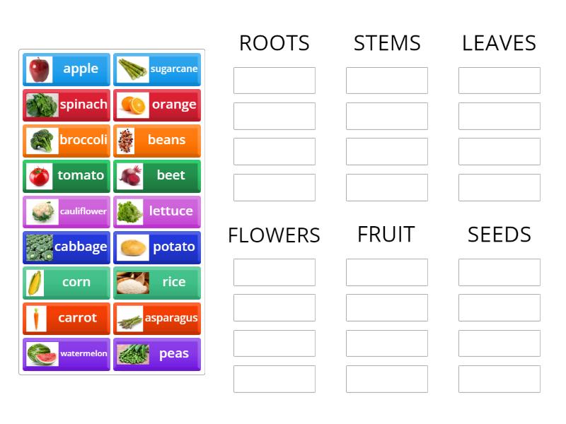 Parts of the plants we eat - Group sort