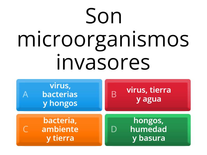 Virus, bacterias y hongos - Test