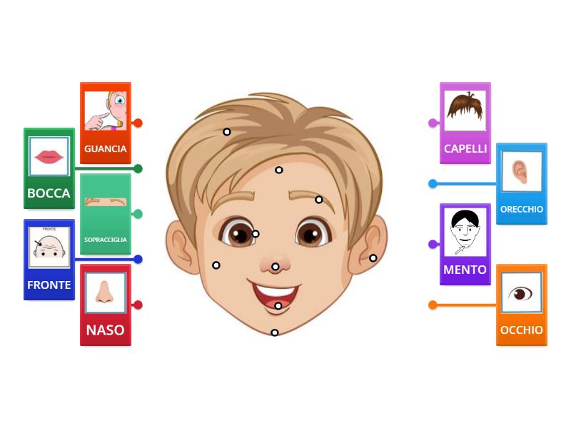 Le Parti del viso - Labelled diagram