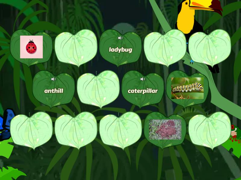 Pete, the cat and a cool caterpillar - Matching pairs