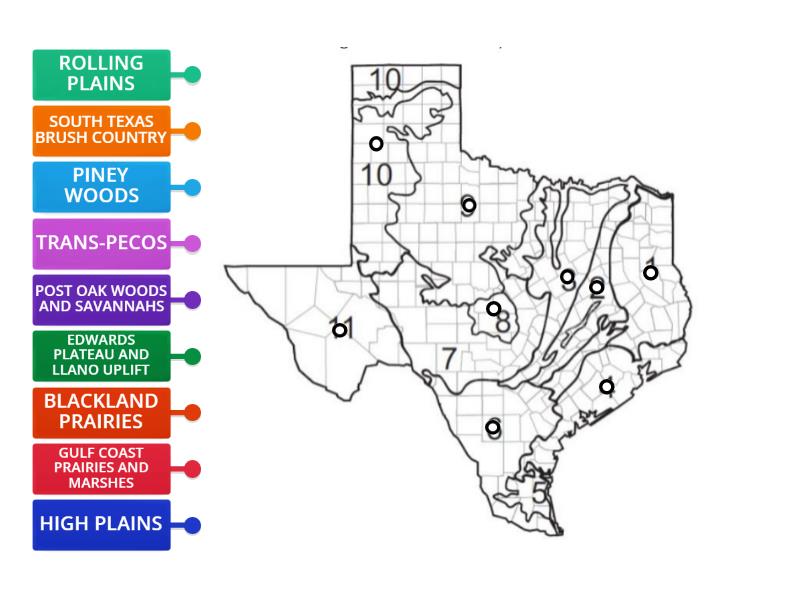 TEXAS ECOREGIONS - Labelled diagram