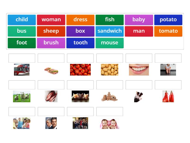 plurals - Match up