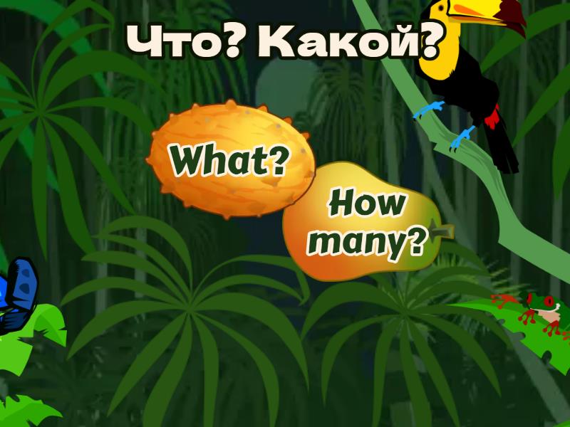 GG1 U8.3 Question words - Speed quiz