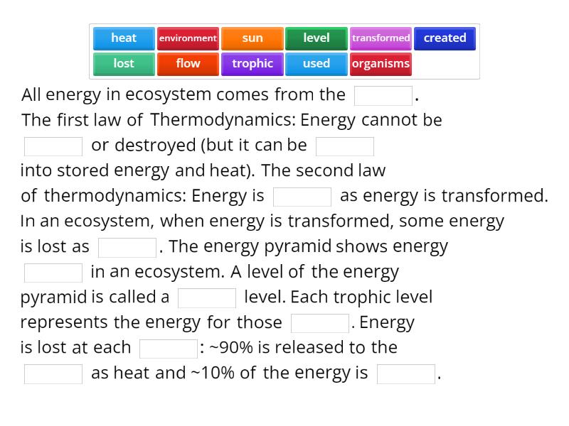 Energy Flow in Ecosystems Review - Completa la oración