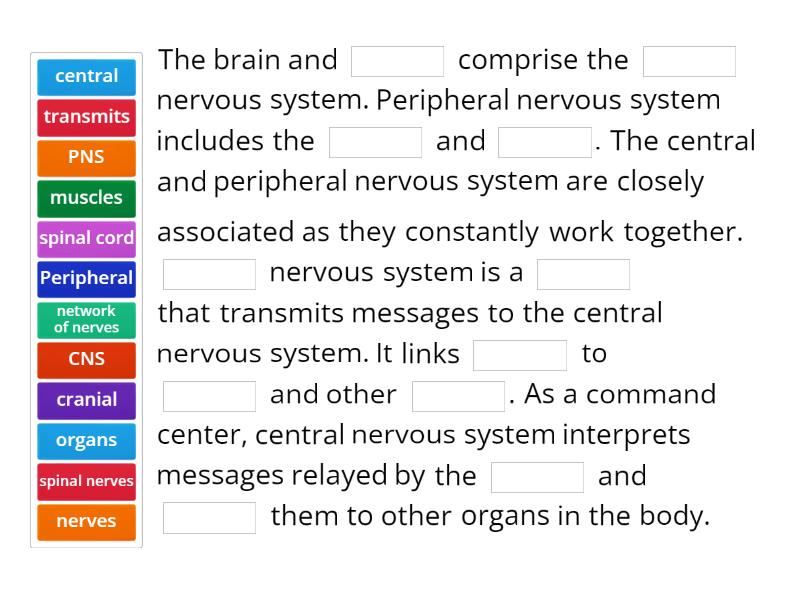 NERVOUS SYSTEM - Complete the sentence