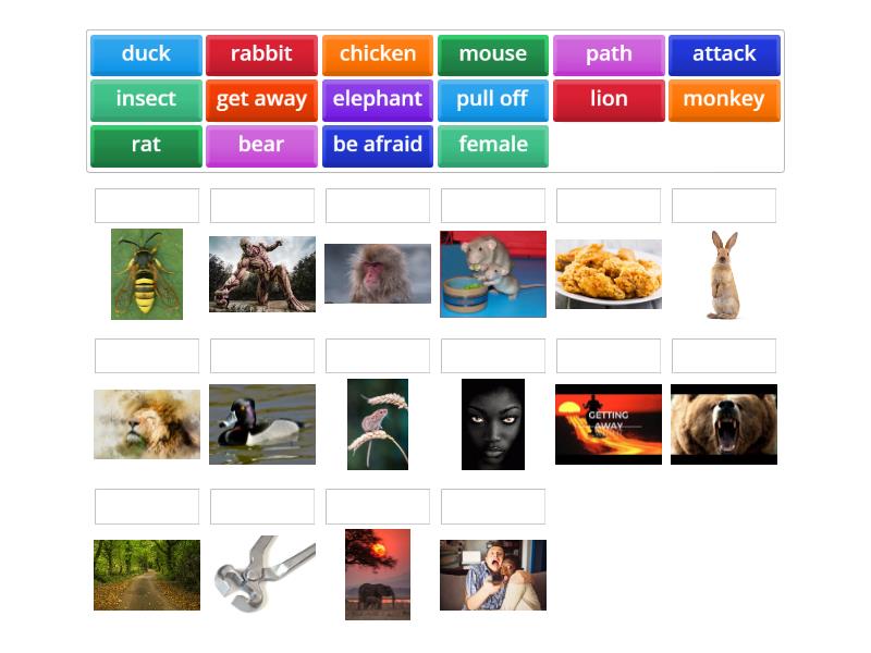Prepare 2 Unit 16 - Match up