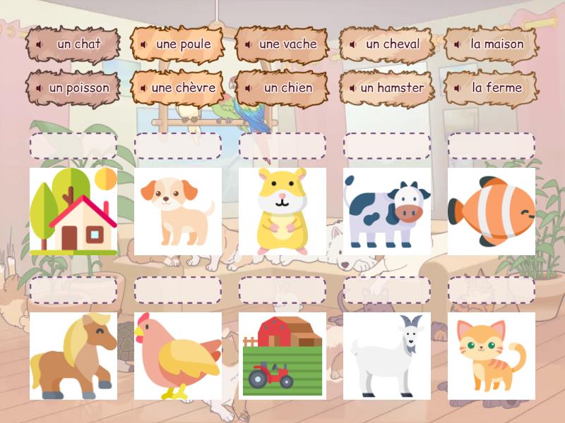 Les animaux de la maison et de la ferme - Match up
