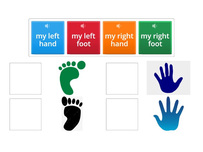 My right/left hand/foot - Match up